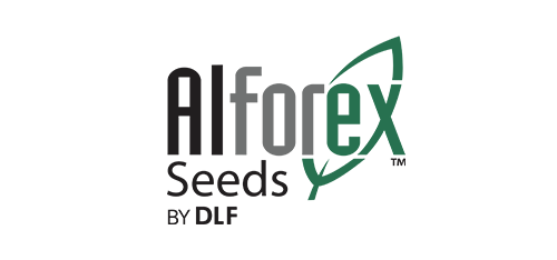 Alforex products | DLF Forage