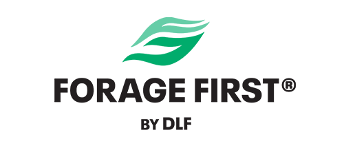 Orchardgrass | DLF Forage